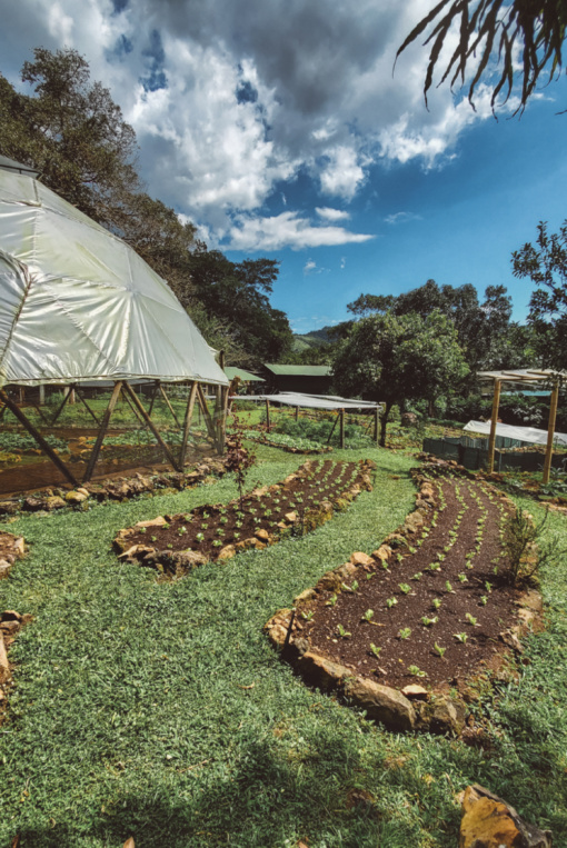 We Spent 1 Month Living in an Eco Community in Costa Rica